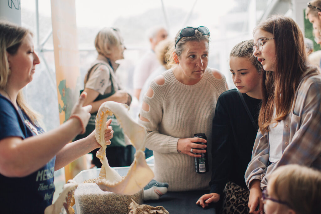 What's On - First Light Festival